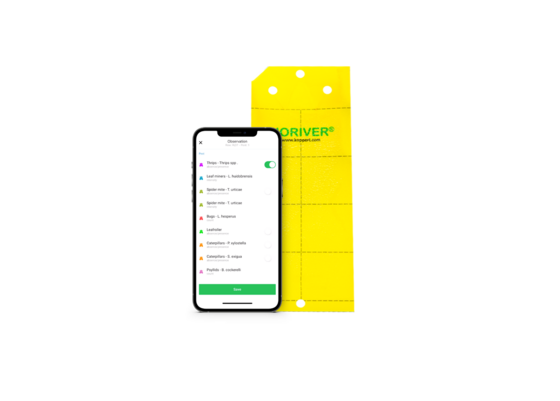 Provigor-tr | Koppert Ürünleri